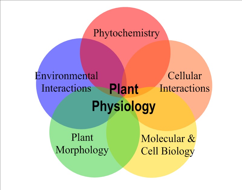 Plant Physiology Fall 2023 | Dowell Research Group